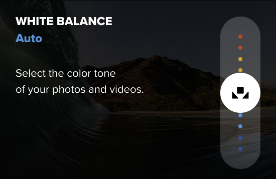 White Balance Setting Information