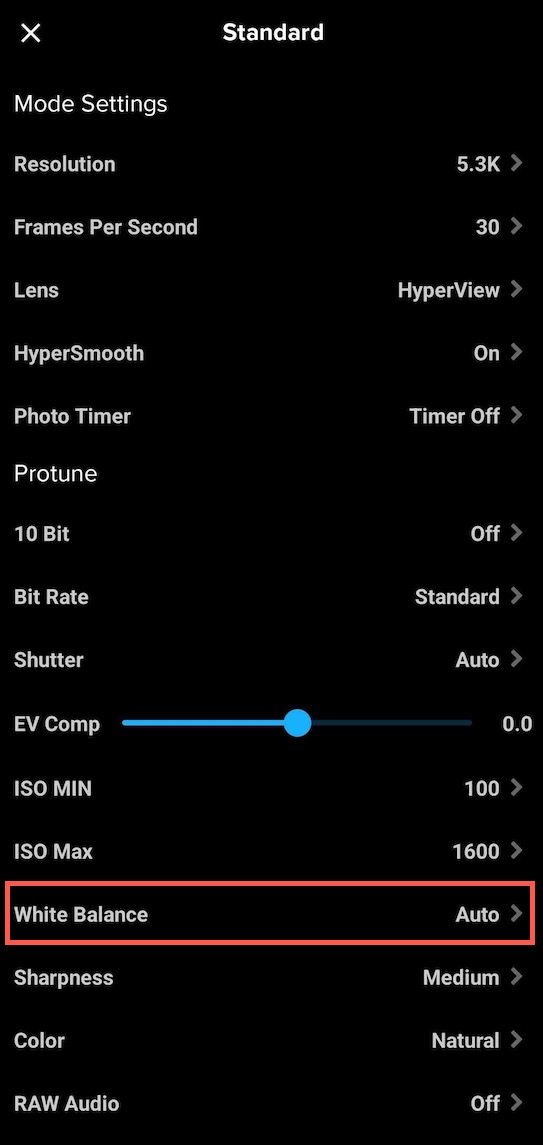 White Balance Setting Information