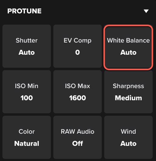 White Balance Setting Information