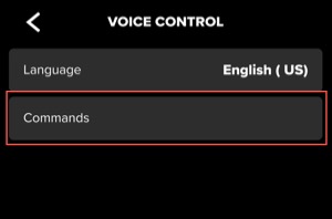 HERO13 Black: Voice Control