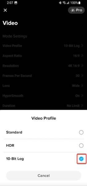 HERO13 Black: 10-Bit Log Encoding