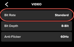HERO13 Black: 10-Bit Log Encoding